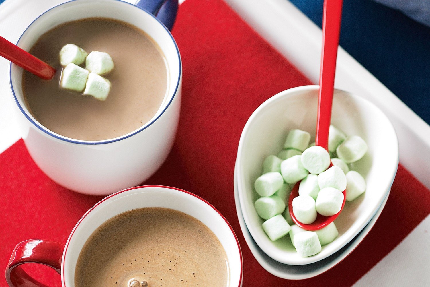 Choc Mint Hot Chocolate Recipe | Chelsea Sugar